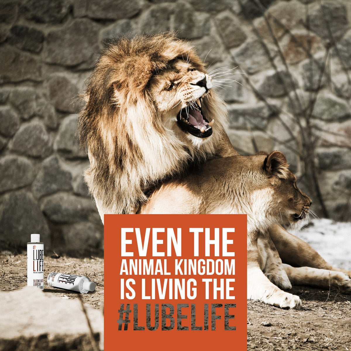 How to Choose the Perfect Lube for you | Buying Guide